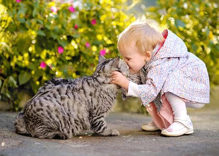 Kleinkind & Katze: Die wichtigsten Eckpfeiler • Couchcats.de